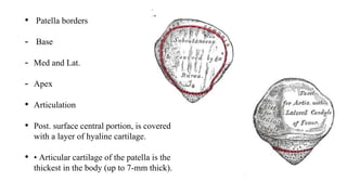 Patella fracture and tibial condyle fracture | PPTX