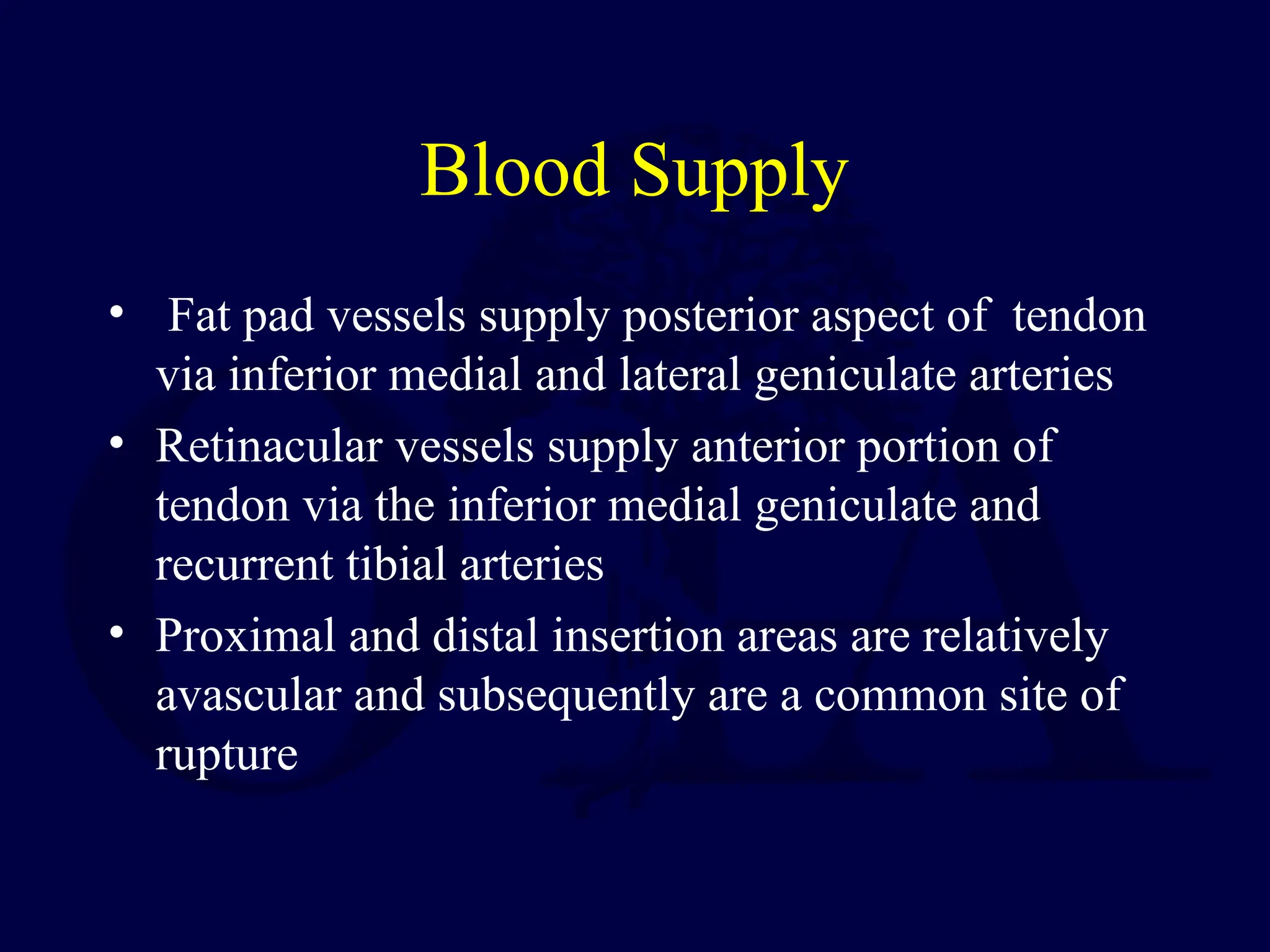 Patella Fractures & Extensor Mechanism Injuries.ppt
