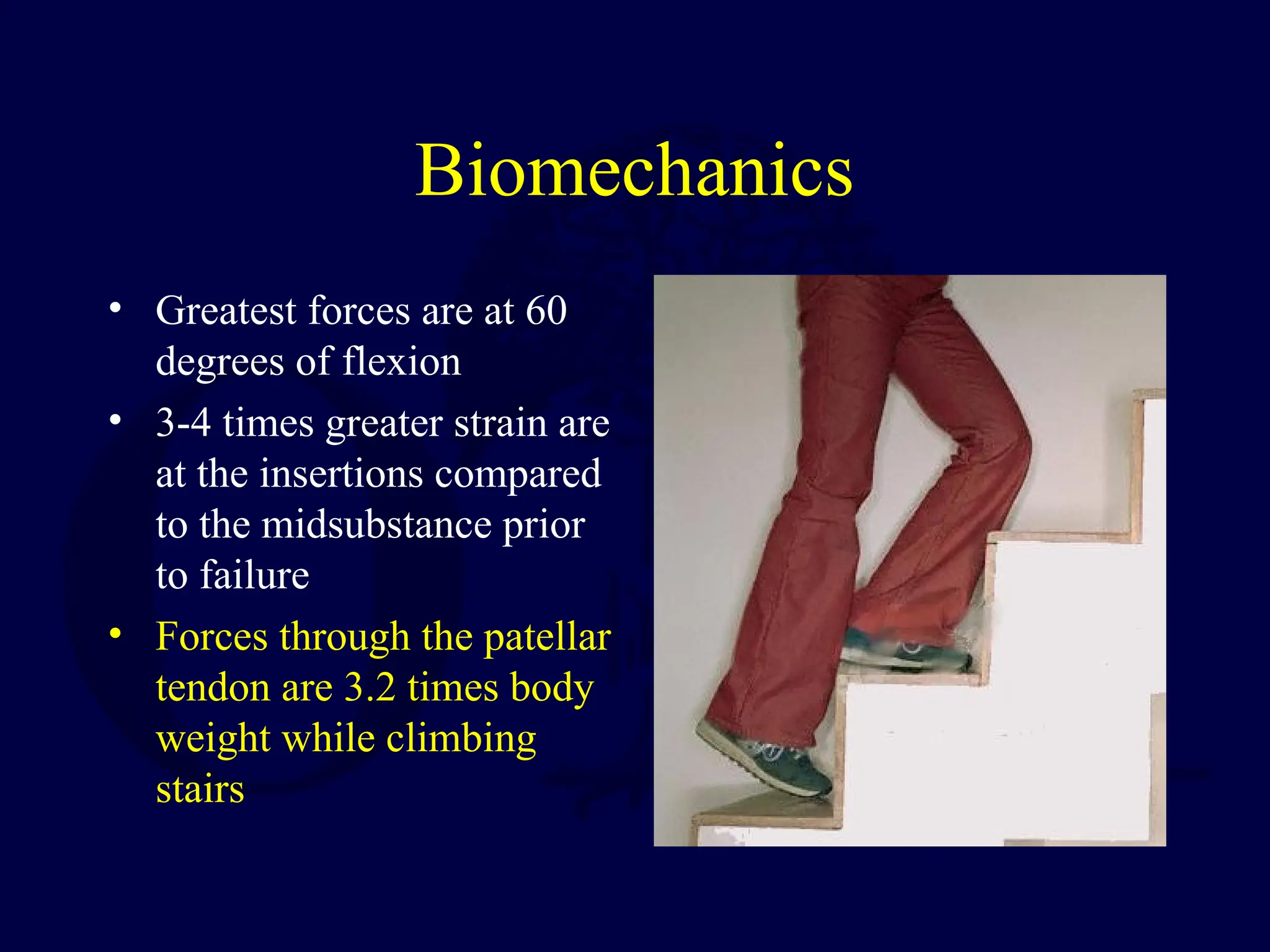 Patella Fractures & Extensor Mechanism Injuries.ppt