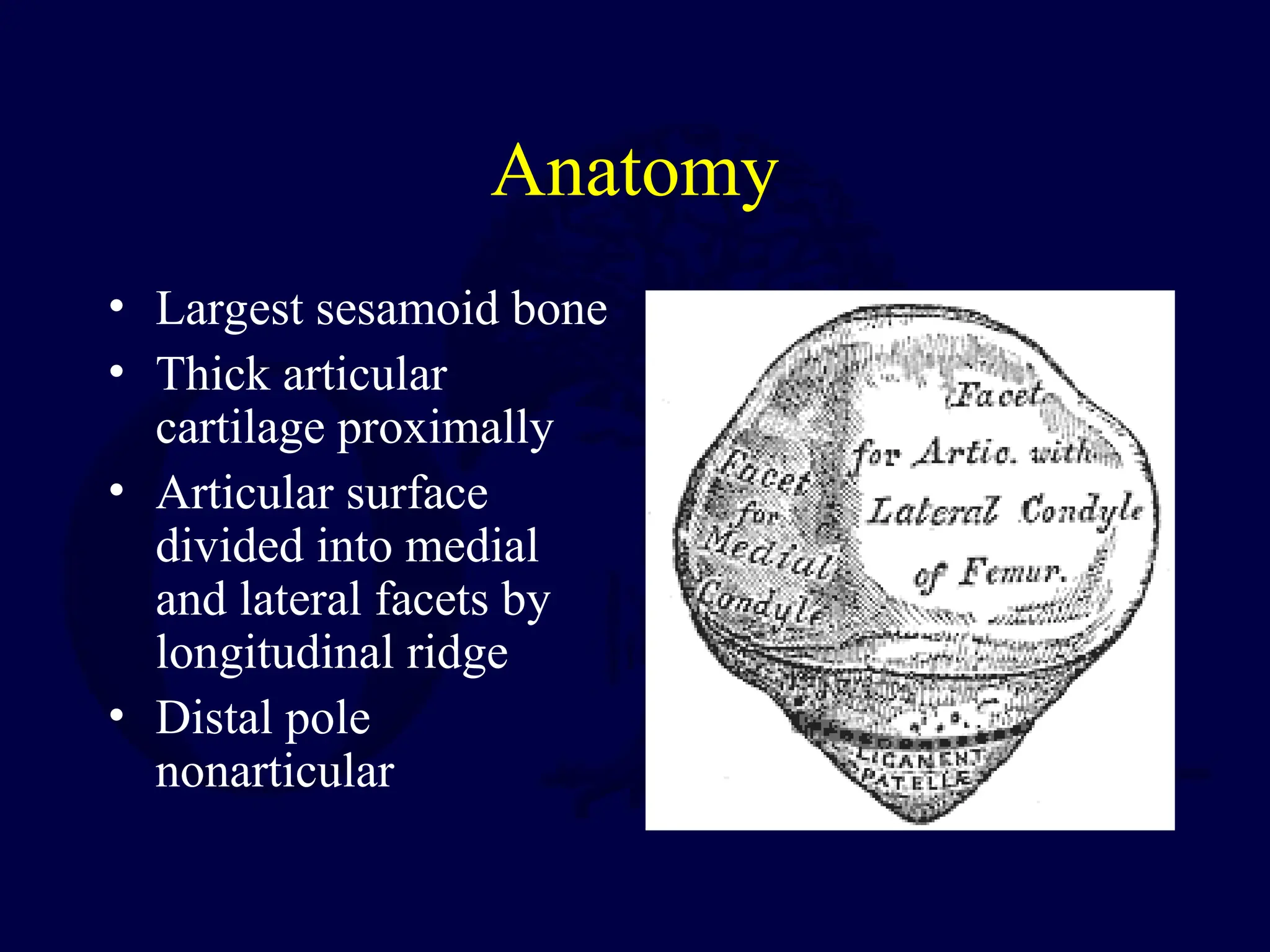 Patella Fractures & Extensor Mechanism Injuries.ppt