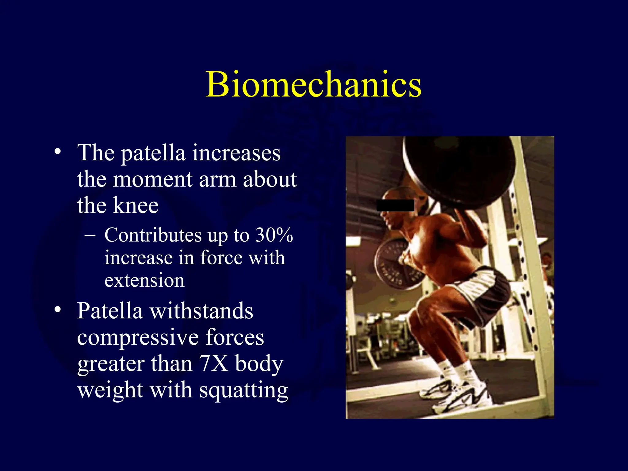 Patella Fractures & Extensor Mechanism Injuries.ppt