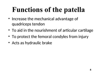 Patellar Anatomy , deformity and management .ppt