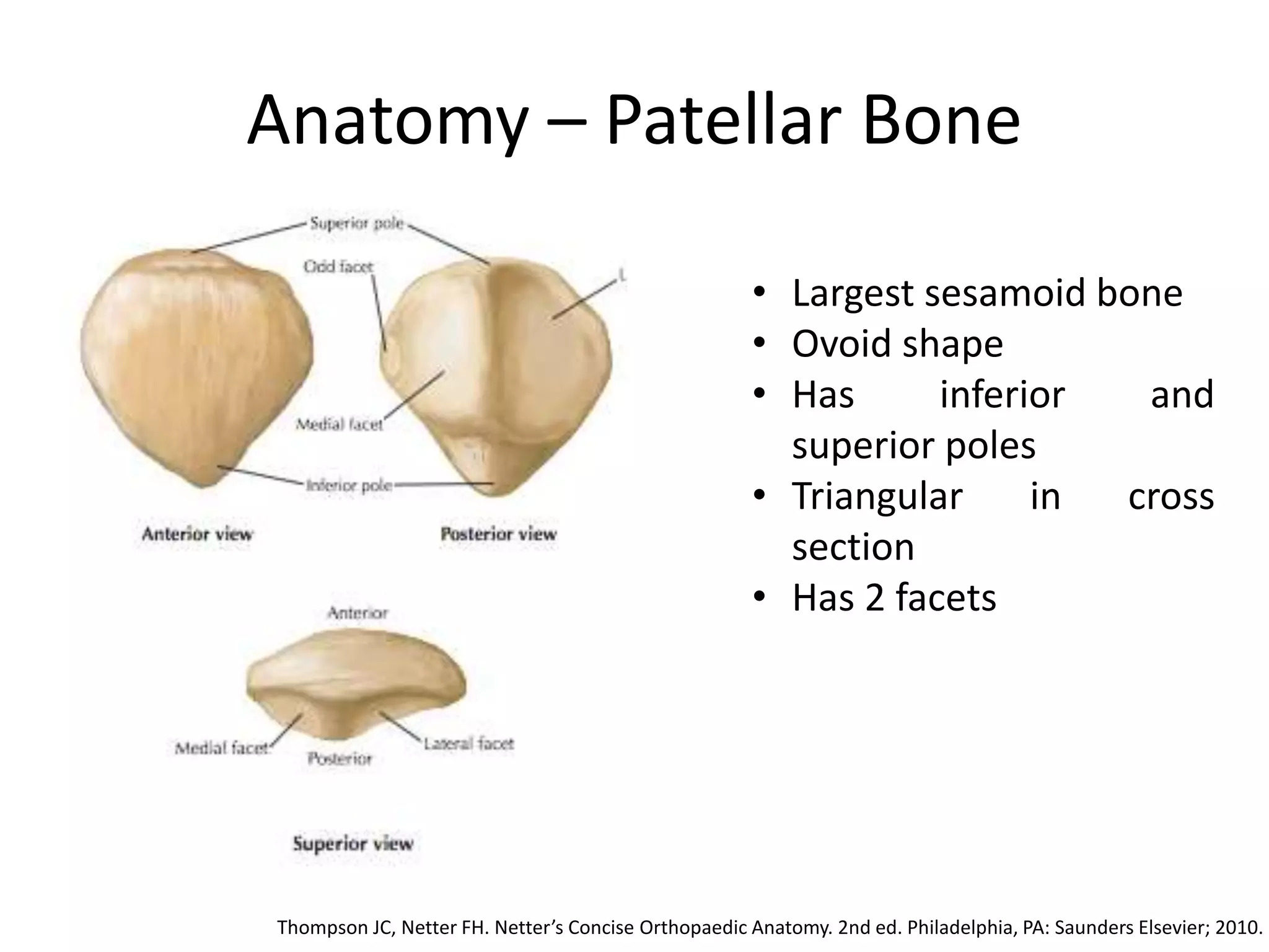 patellar fracture.pptx