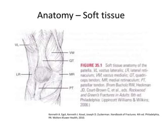 patellar fracture.pptx