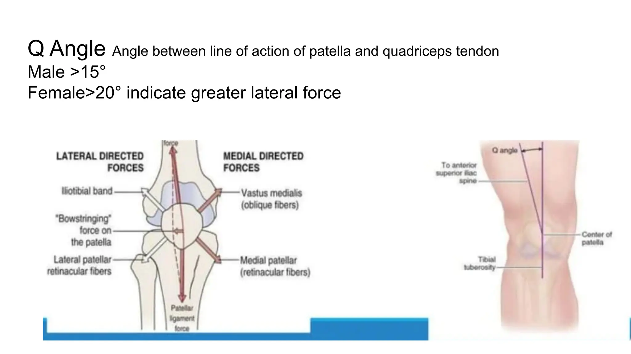 Patellar Instability: Diagnosis Management | PDF