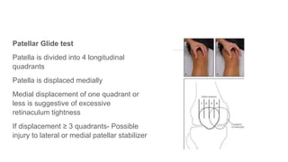 Patellar Instability: Diagnosis Management | PDF