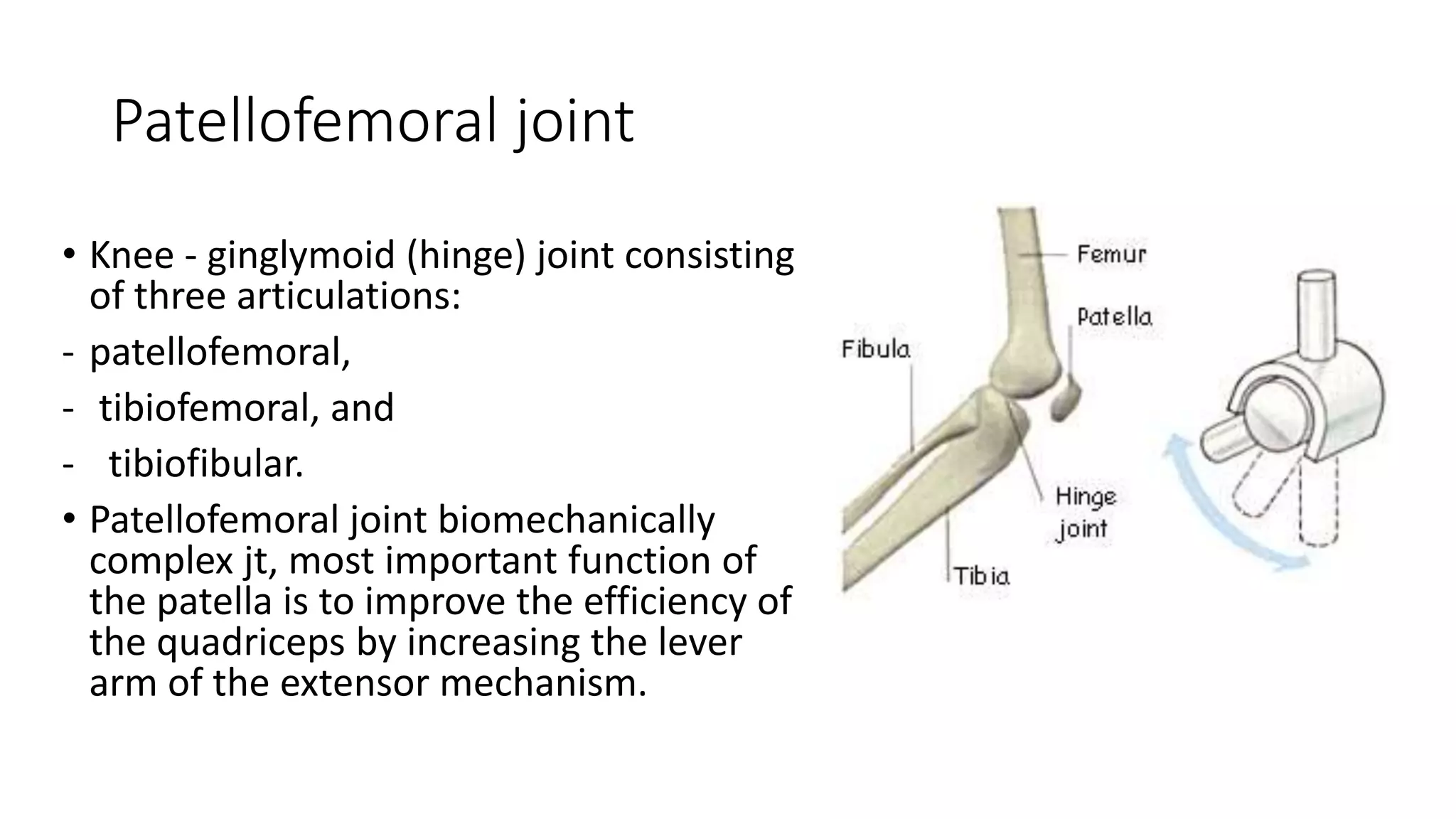 Patellofemoral disorders | PPTX