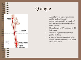 patellofemoral_pain_1.ppt