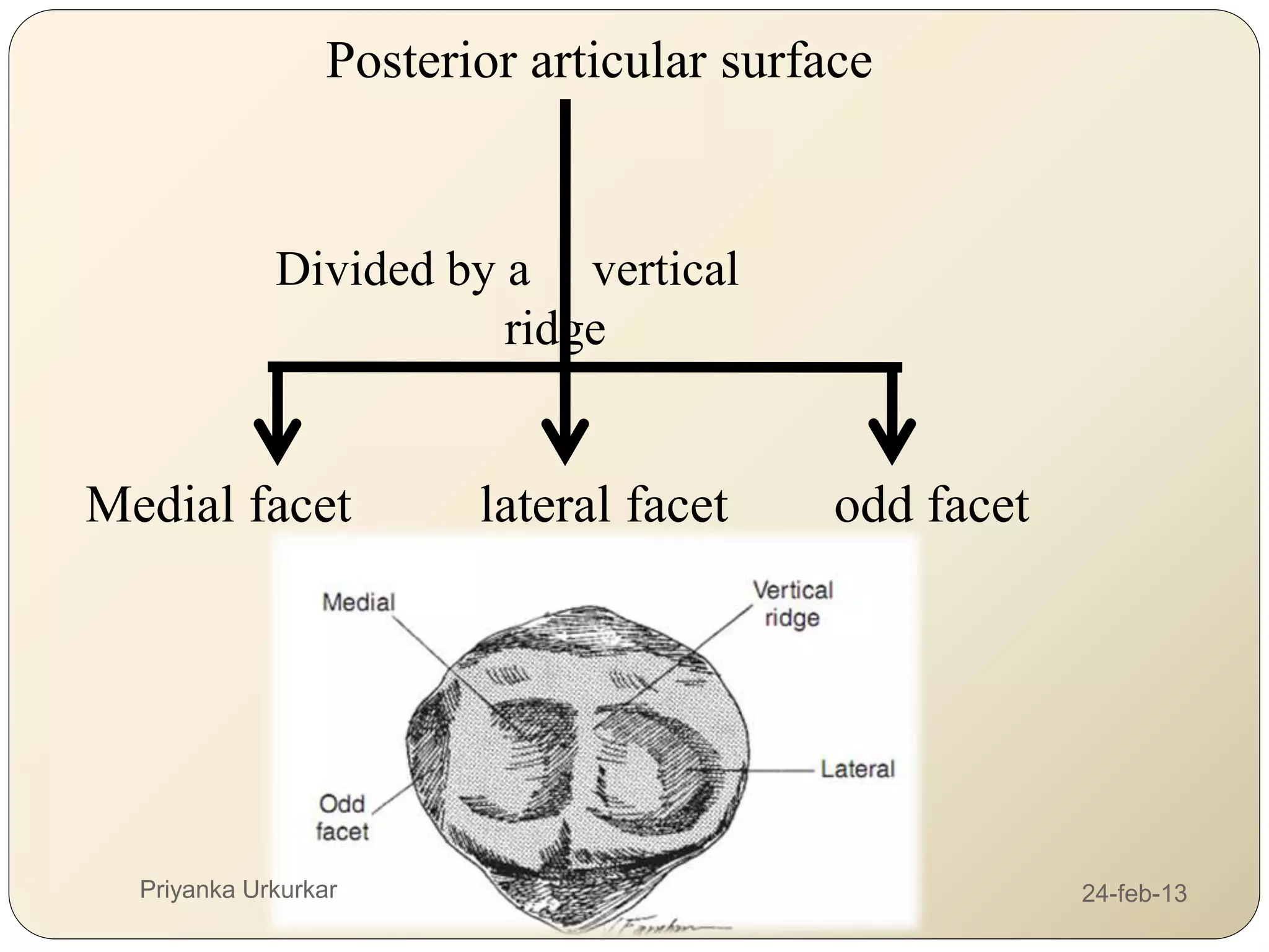 Patellofemoral pain syndrome (pfps) | PPTX