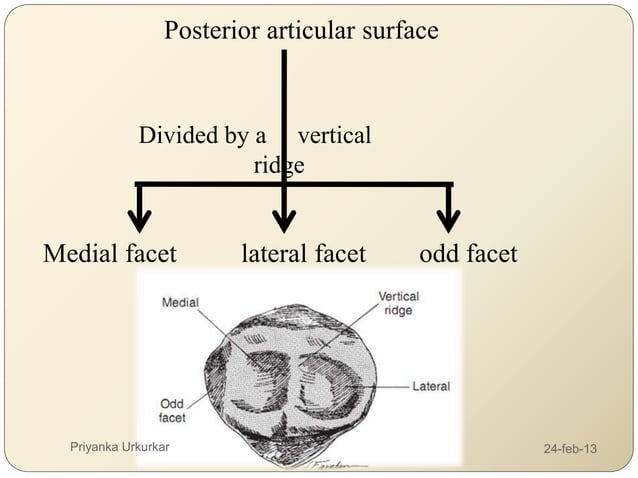 Patellofemoral pain syndrome (pfps) | PPTX | Death, Injury, or Military ...