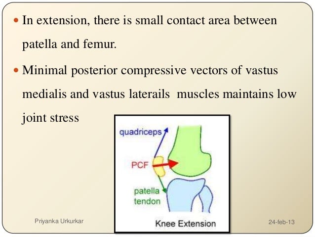 Patellofemoral pain syndrome (pfps)