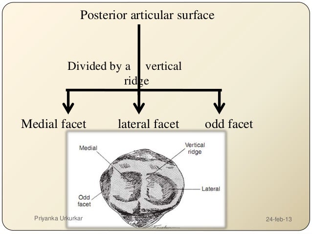 Patellofemoral pain syndrome (pfps)