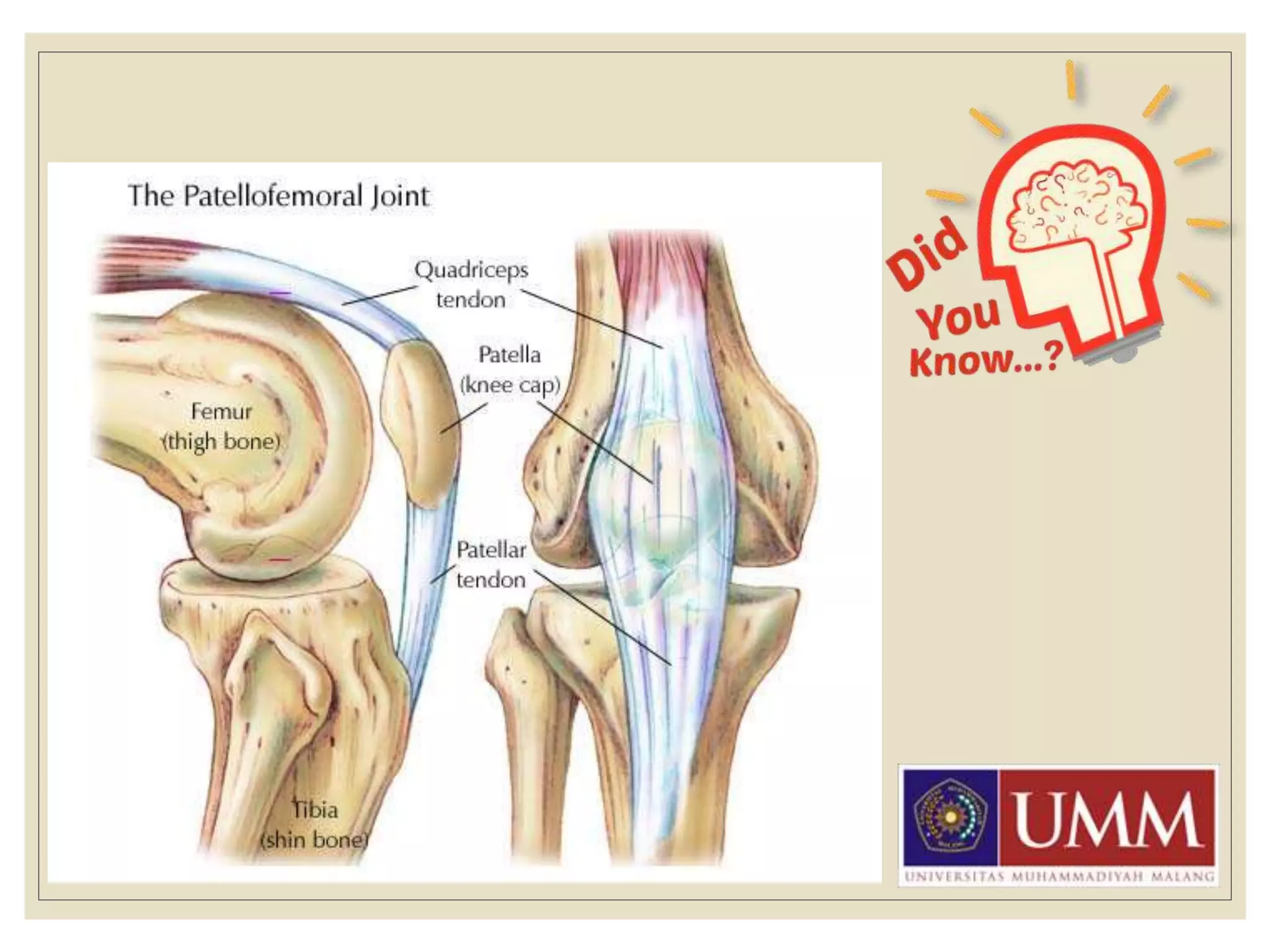 Patellofemoral pain syndrome (pfps) | PPTX