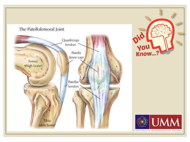 Patellofemoral pain syndrome (pfps)