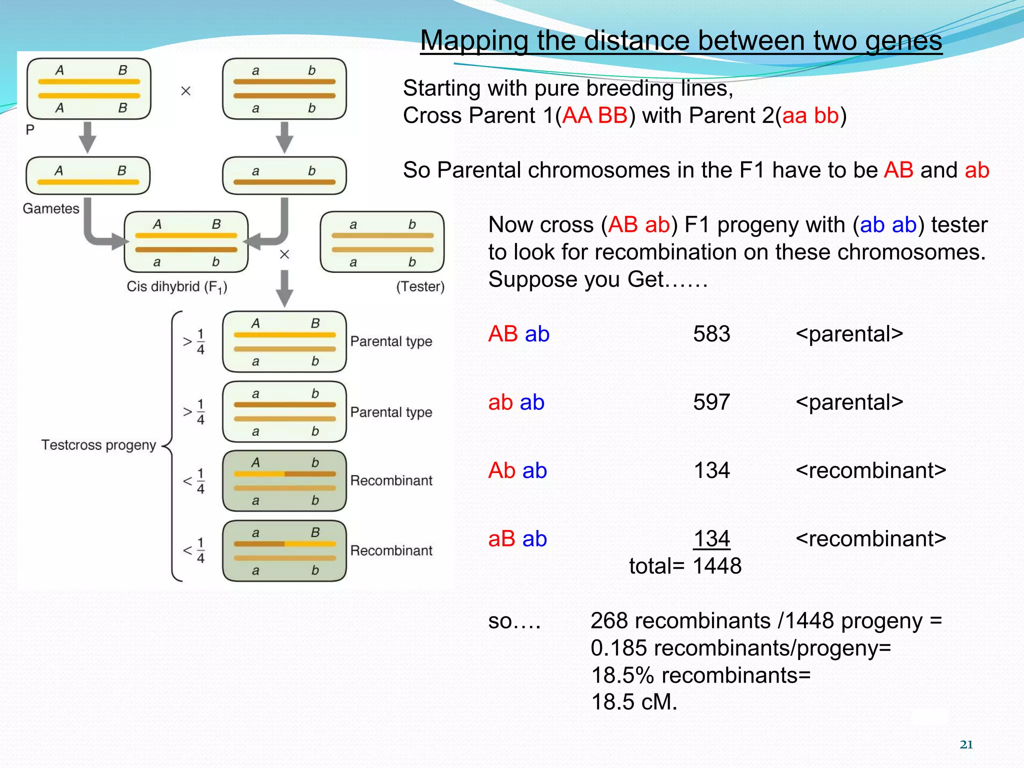 genetic linkage and gene mapping | PPTX