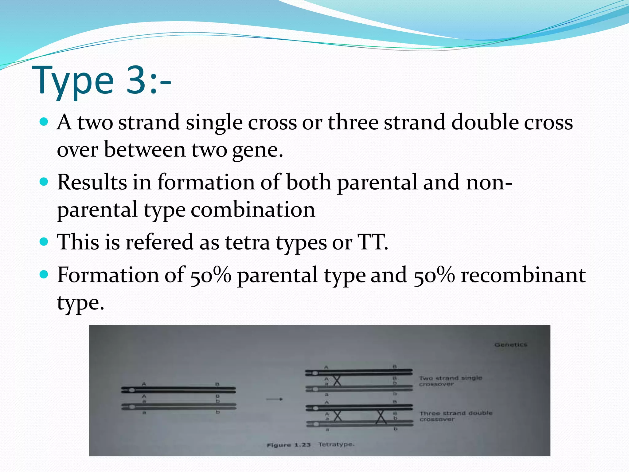 genetic linkage and gene mapping | PPTX