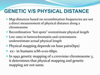 genetic linkage and gene mapping | PPTX