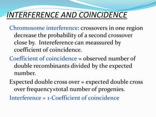 genetic linkage and gene mapping | PPTX