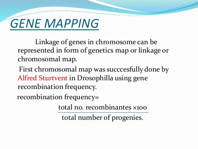 genetic linkage and gene mapping