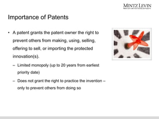 Patent 101: Protecting Innovations | PPTX