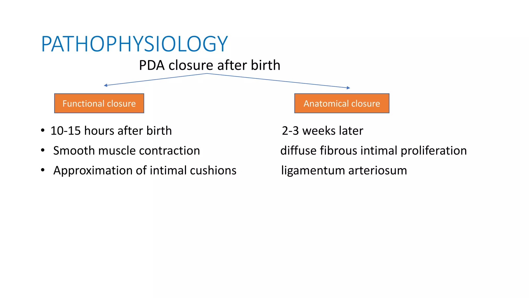 PATENT DUCTUS ARTERIOSUS.pptx