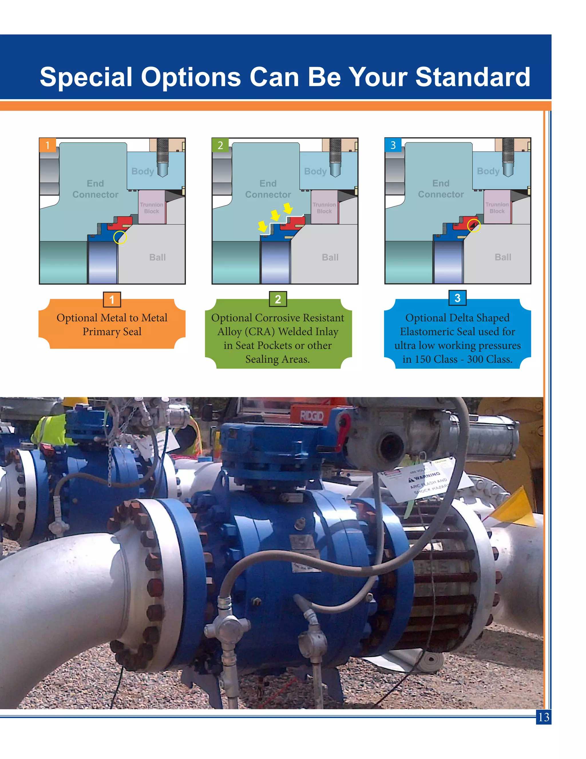 Patented dual seal ball valves | PDF