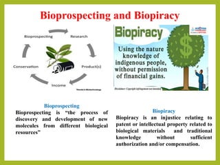 Patenting and Regulatory Requirements of Natural Products.pptx