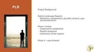 Patent landscape | PPTX