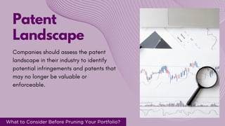 Patent Portfolio Pruning.pdf