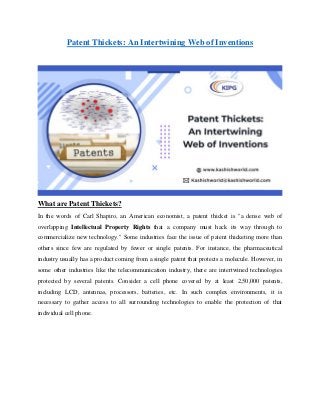 Patent Thickets: An Intertwining Web of Inventions | PDF