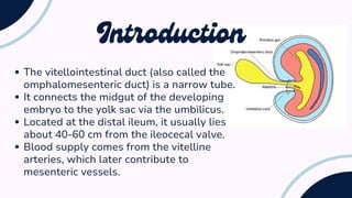 Patent Vitello Intestinal Duct, Pediatric Surgery | PDF