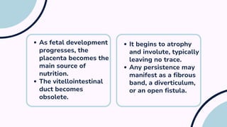 Patent Vitello Intestinal Duct, Pediatric Surgery | PDF