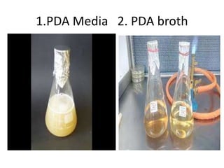 PATH-121 (NEW) SPOTTING PPT - Copy.pptx