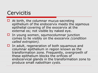 Path anat(tumours of female genital system ) | PPT