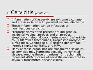 Path anat(tumours of female genital system ) | PPT