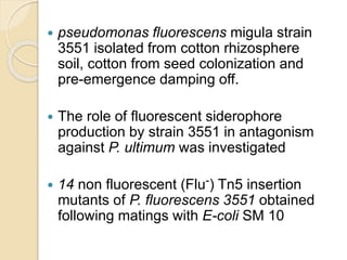 Siderophores produced by bioagents in controlling of plant diseases | PPTX
