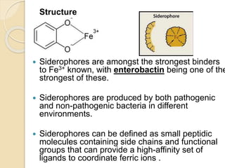Siderophores produced by bioagents in controlling of plant diseases | PPTX