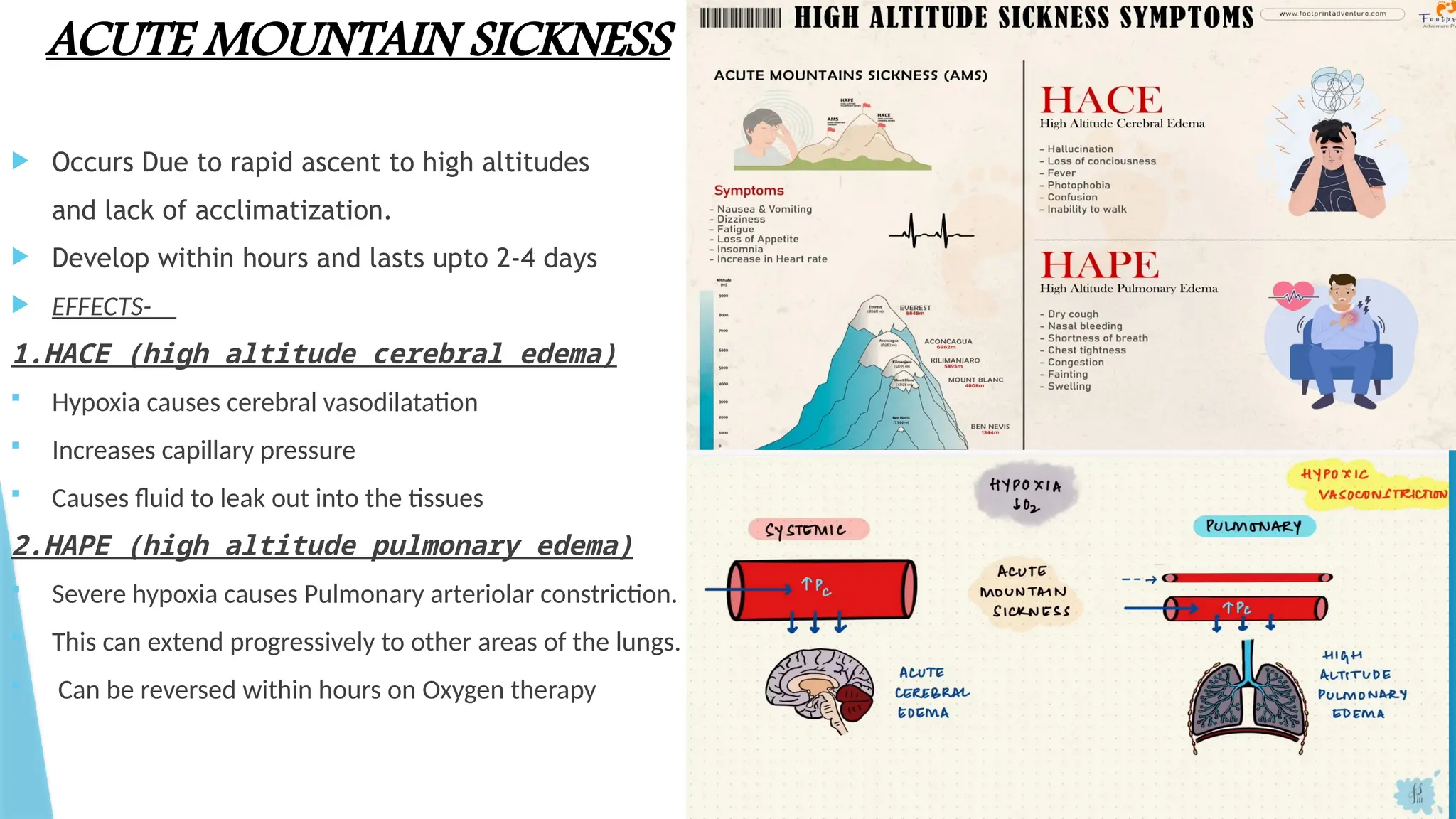high altitude physiology and related sickness | PPTX