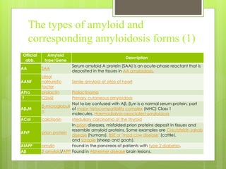 Amyloidosis of kidney. Morphological characteristics, outcomes ...