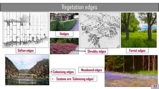 Path and edges | PDF