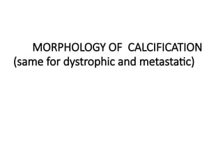 Path calcification for mbbs 2nd year pathology | PPTX | Bone and Joint ...