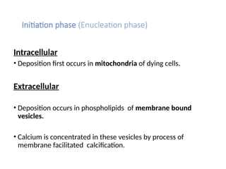 Path calcification for mbbs 2nd year pathology | PPTX | Bone and Joint ...