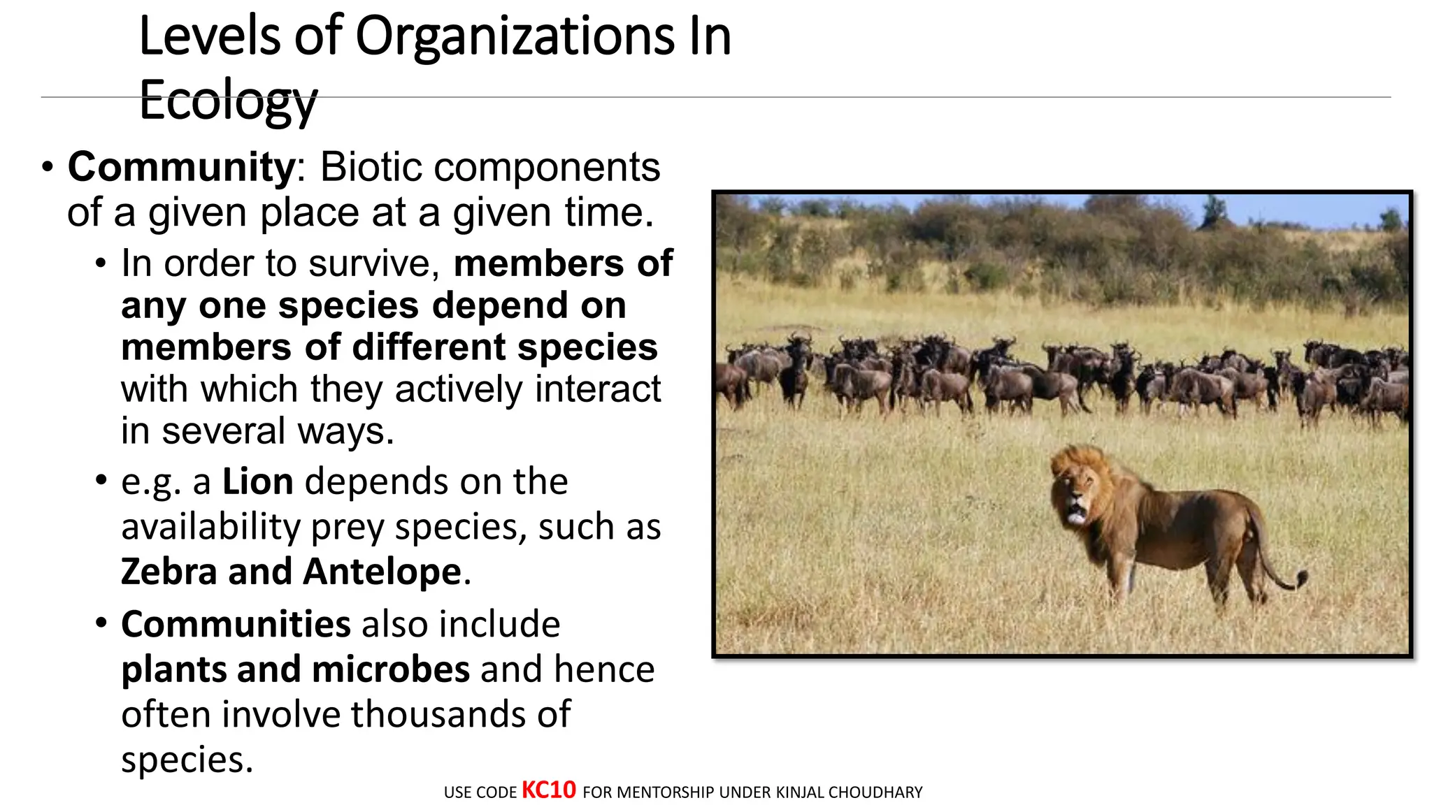 Pathfinder- Complete Environment Static 2021.pdf