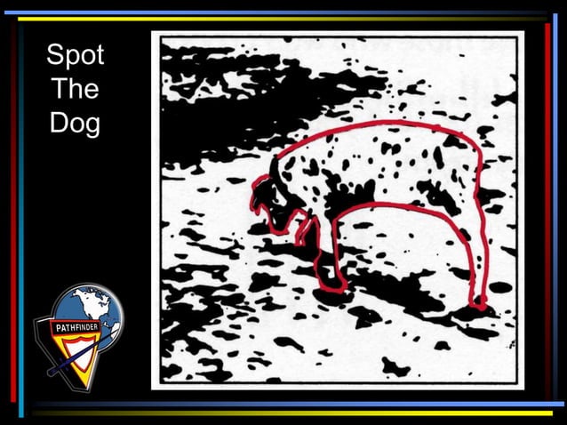 Pathfinder Basic Staff Training.ppt | Roleplaying Games | Games and Puzzles