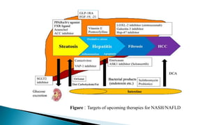 Current and future pharmacological therpapies of NAFLD and NASH. Slide ...
