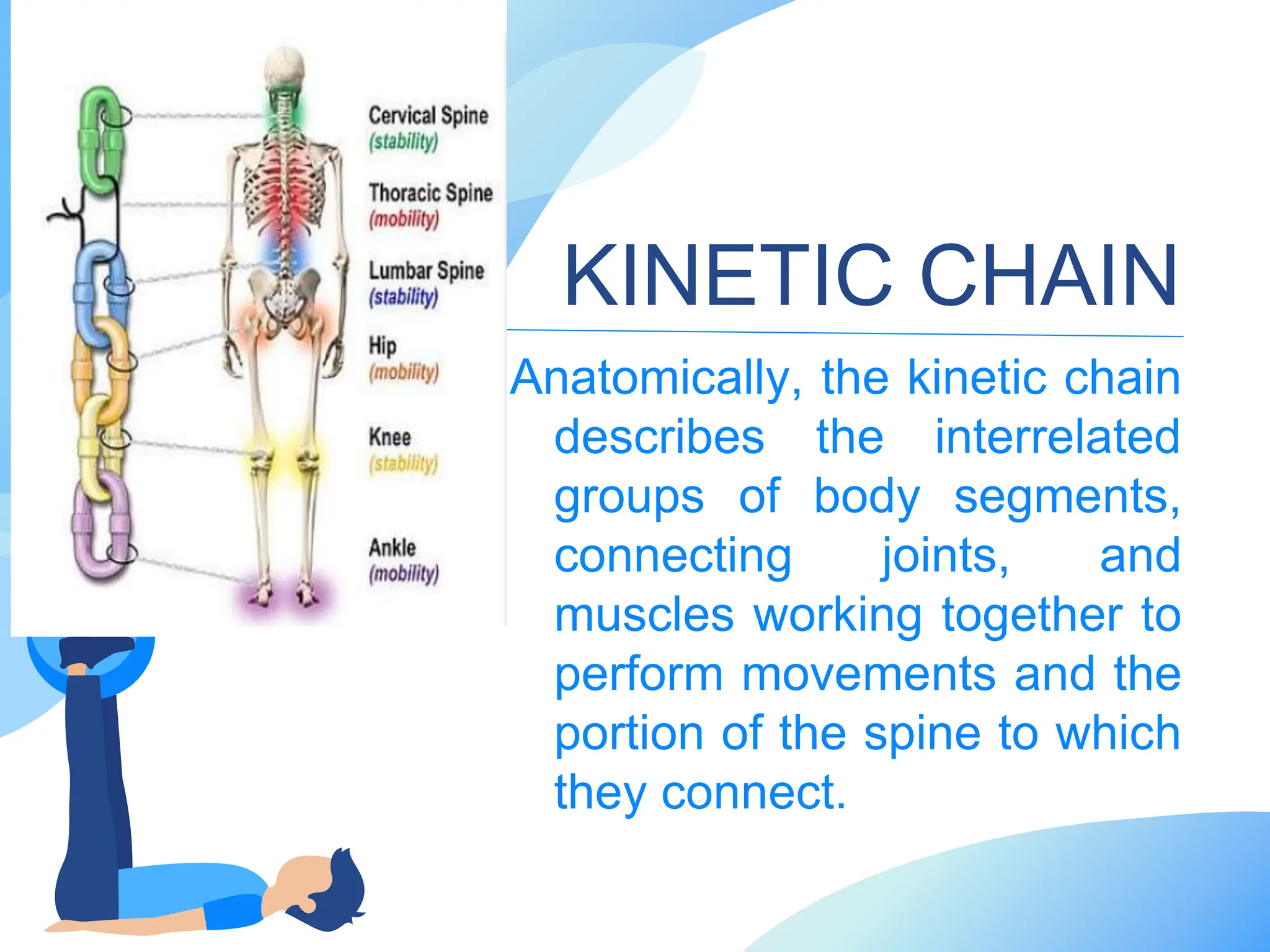 PATHFIT-CORE-ANATOMY-ANATOMICAL-POSITION-AND-DIRECTIONAL-TERMS.pptx