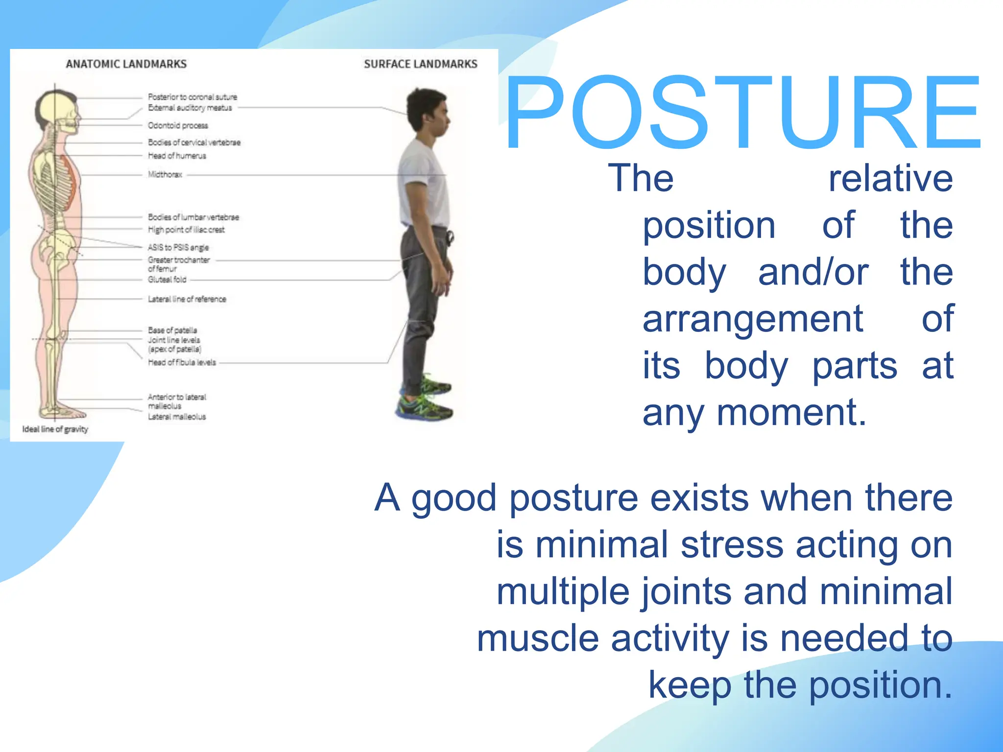 PATHFIT-CORE-ANATOMY-ANATOMICAL-POSITION-AND-DIRECTIONAL-TERMS.pptx