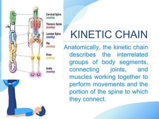 PATHFIT-CORE-ANATOMY-ANATOMICAL-POSITION-AND-DIRECTIONAL-TERMS.pptx