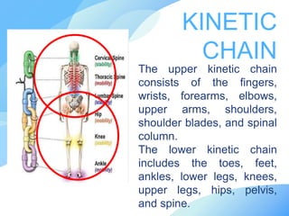 PATHFIT-CORE-ANATOMY-ANATOMICAL-POSITION-AND-DIRECTIONAL-TERMS.pptx