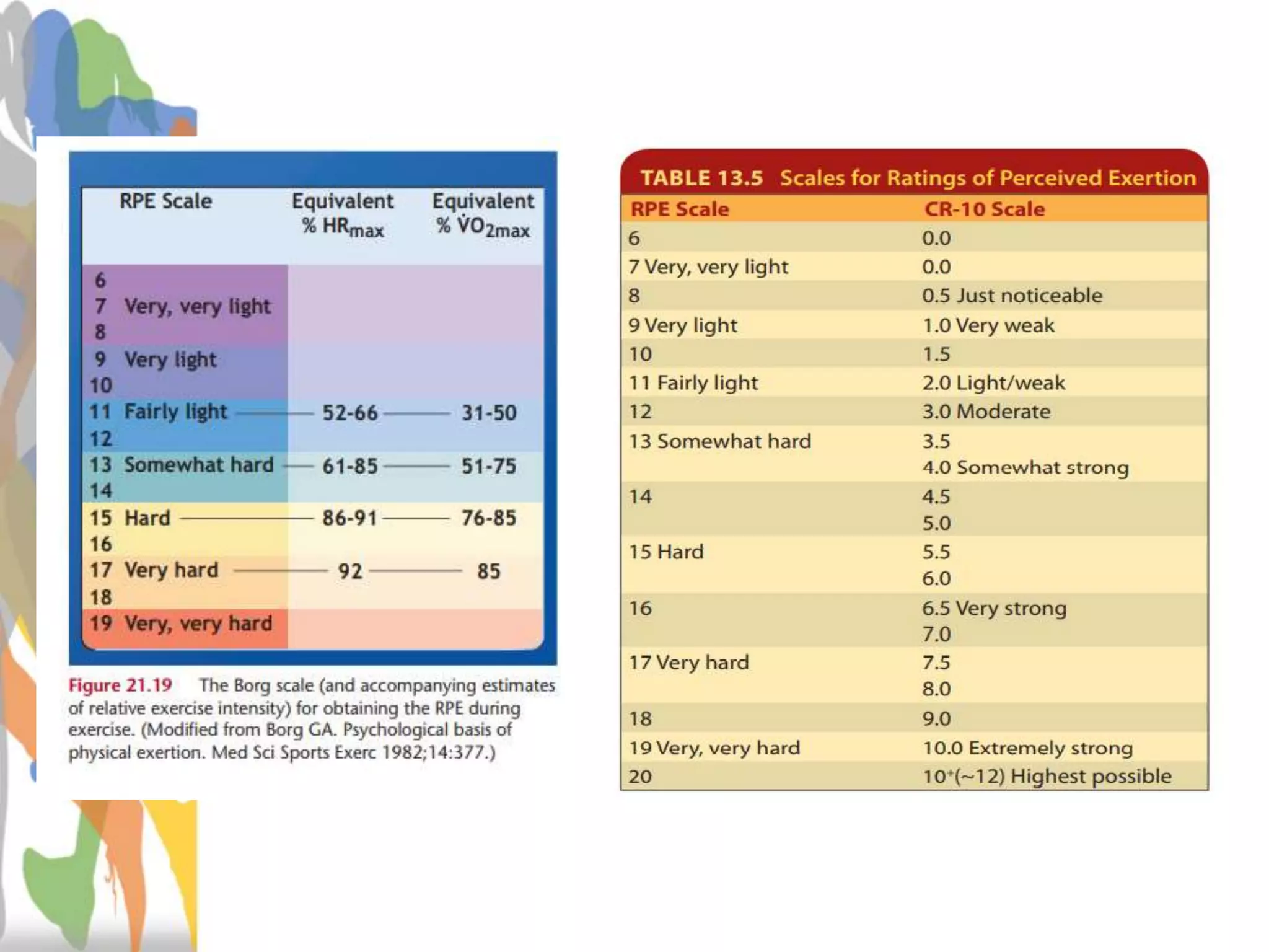 PathFit1_Handout-edited-2-1.pptx | Physical Therapy | Wellness